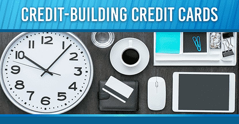 11 Best Credit-Building Credit Cards (2019)