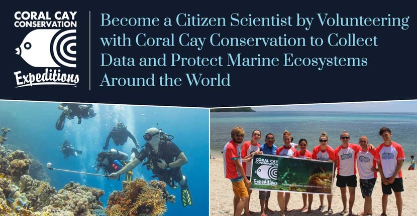 Become a Citizen Scientist by Volunteering with Coral Cay Conservation ...