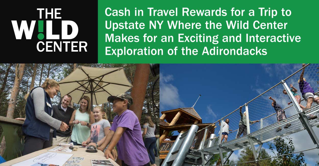 Cash in Travel Rewards for a Trip to Upstate NY Where the Wild Center ...