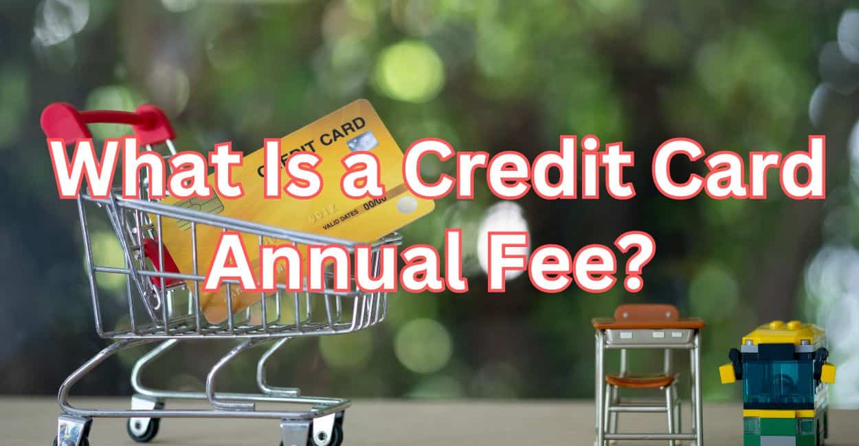 What Is a Credit Card Annual Fee? Why Issuers Charge Them & Cost-to ...